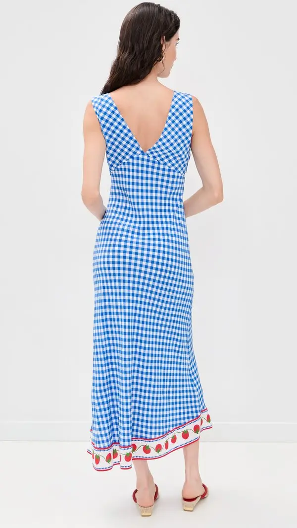 Rails Serafina Gingham Check Maxi Dress With Tomato Print