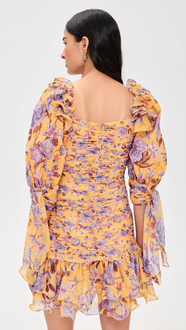 PatBO Peony Mini Dress With Ruffled Trim