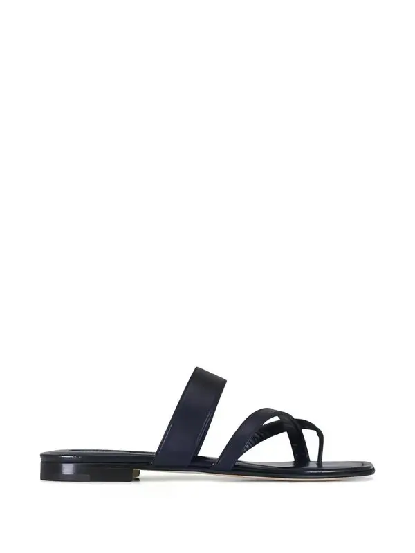 Manolo Blahnik Susa Toe-strap Slip-on Sandals - Blue