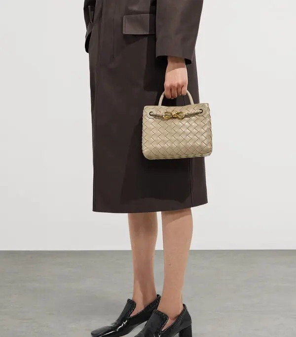 Bottega Veneta Mini Leather Andiamo Top-handle Bag - Neutral