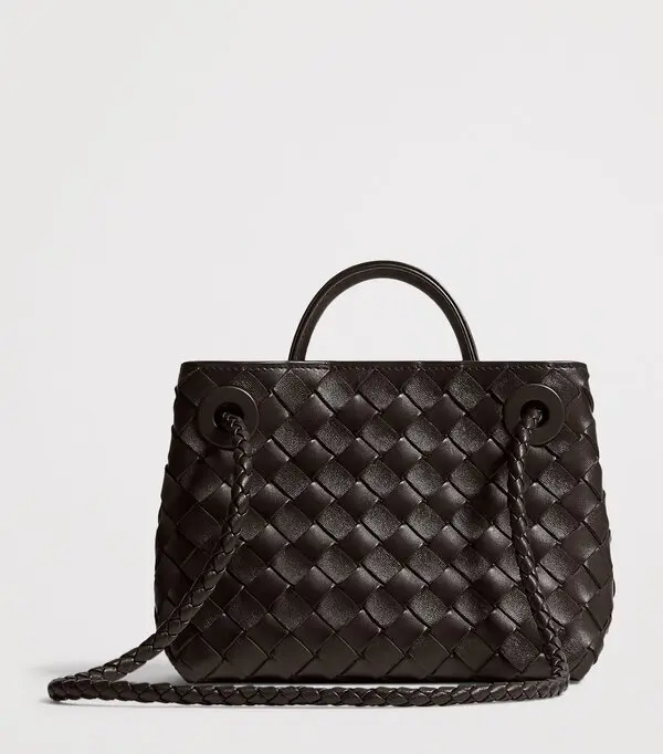 Bottega Veneta Mini Leather Andiamo Top-handle Bag