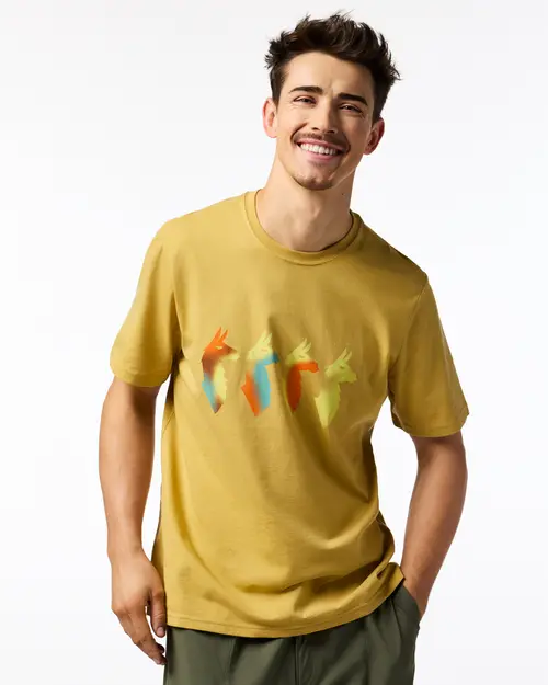 COTOPAXI Cuatro Bitmap T-shirt - Husk