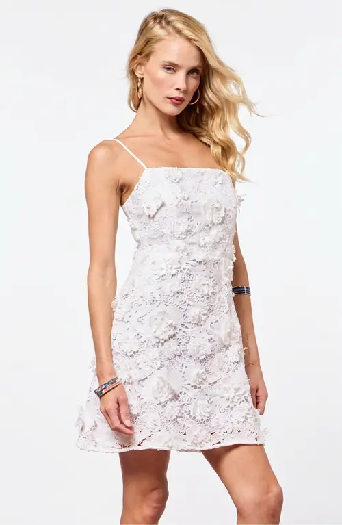 BTB LOS ANGELES Susan 3d Floral Lace Mini Dress - White