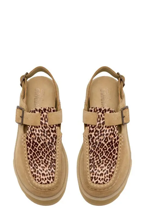 Clarks Slingback Mule - Maple Combination