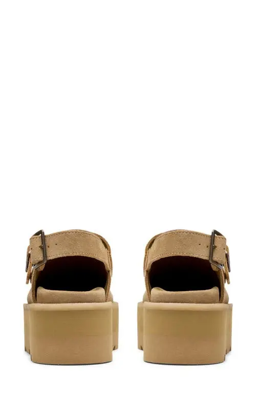 Clarks Slingback Mule - Maple Combination