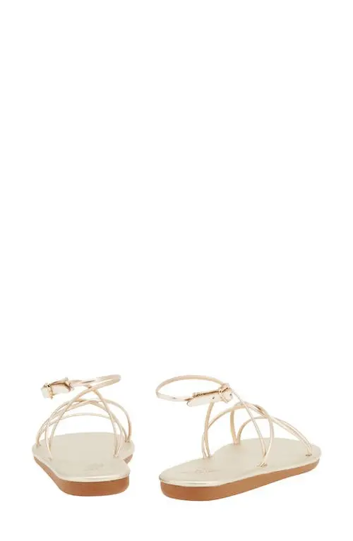 ANCIENT GREEK SANDALS Pixida Strappy Sandal - Platinum