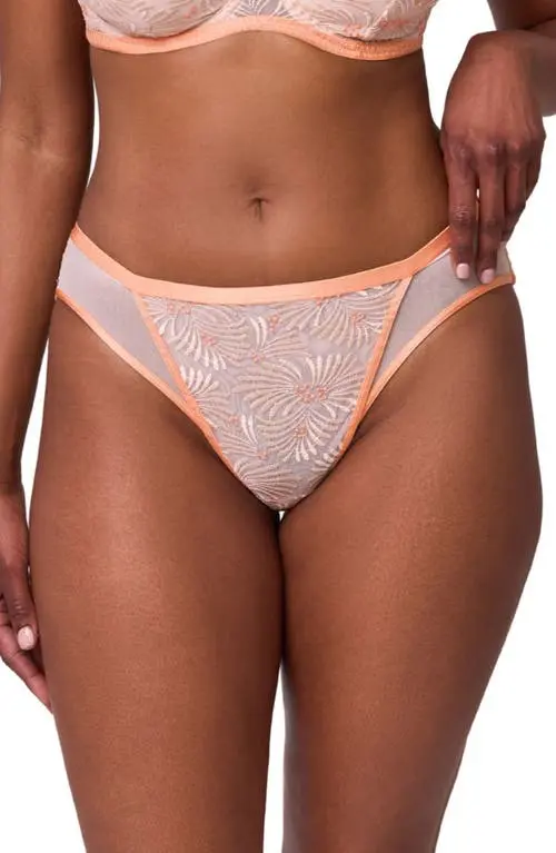 MONTELLE INTIMATES Tangerine Dream Embroidered Sheer Mesh Bikini Briefs - Champagne/tangerine