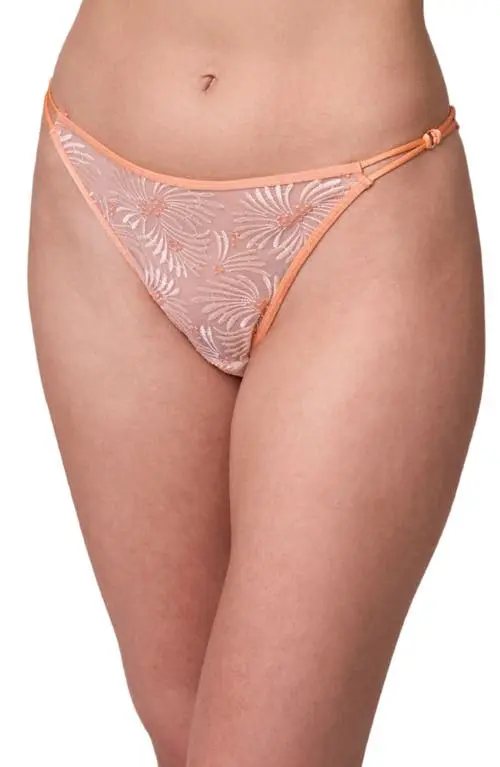 MONTELLE INTIMATES Tangerine Dream Embroidered Sheer Mesh Bikini Briefs - Champagne/tangerine