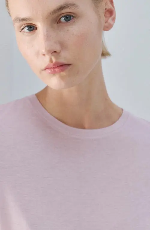 Mango Short Sleeve T-shirt - Lilac