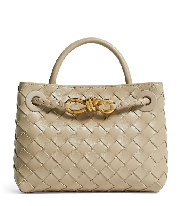 Bottega Veneta Mini Leather Andiamo Top-handle Bag - Neutral