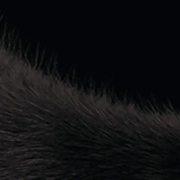 Saint Laurent Mink Fur Sandals