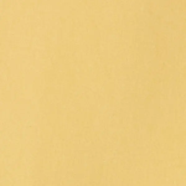 Polo Ralph Lauren Traveller Swim Shorts - Yellow