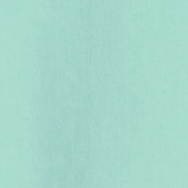 Polo Ralph Lauren Traveller Swim Shorts - Green