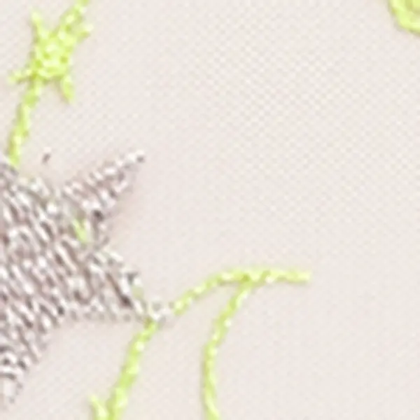 FLEUR DU MAL Silk Embroidered Étoile Thong