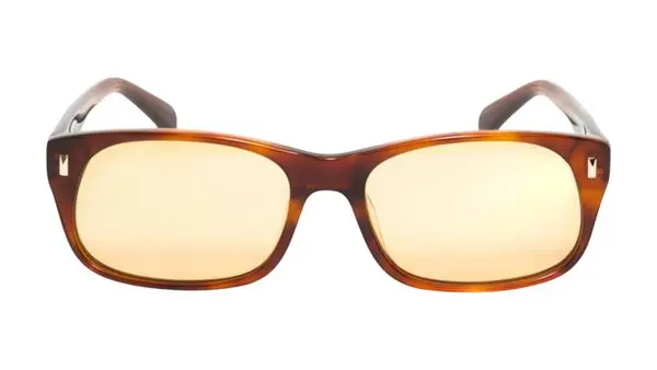 StÜssy Michael Sunglasses - Tortoise/brown Lens