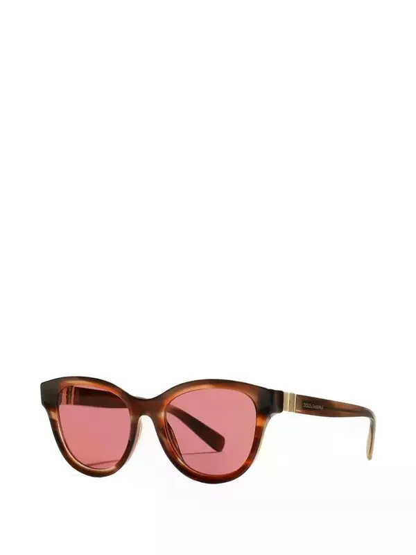 Dolce & Gabbana Dg Hinge Sunglasses - Brown