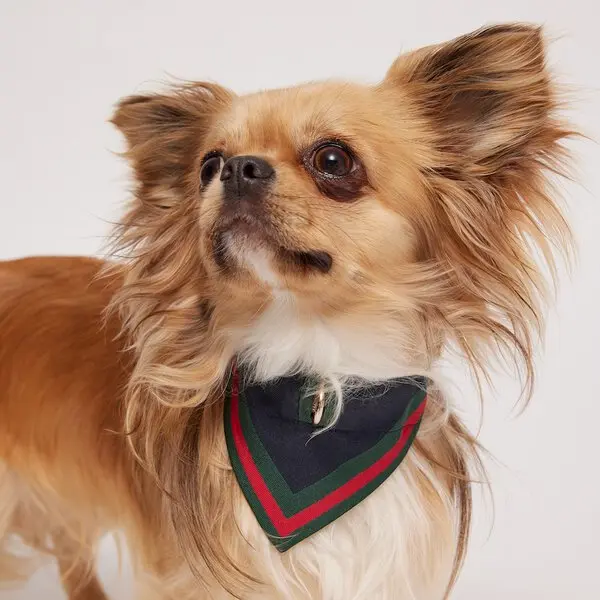 Gucci Extra-small Pet Bandana