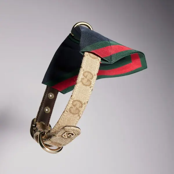 Gucci Small/medium Pet Bandana - Blue