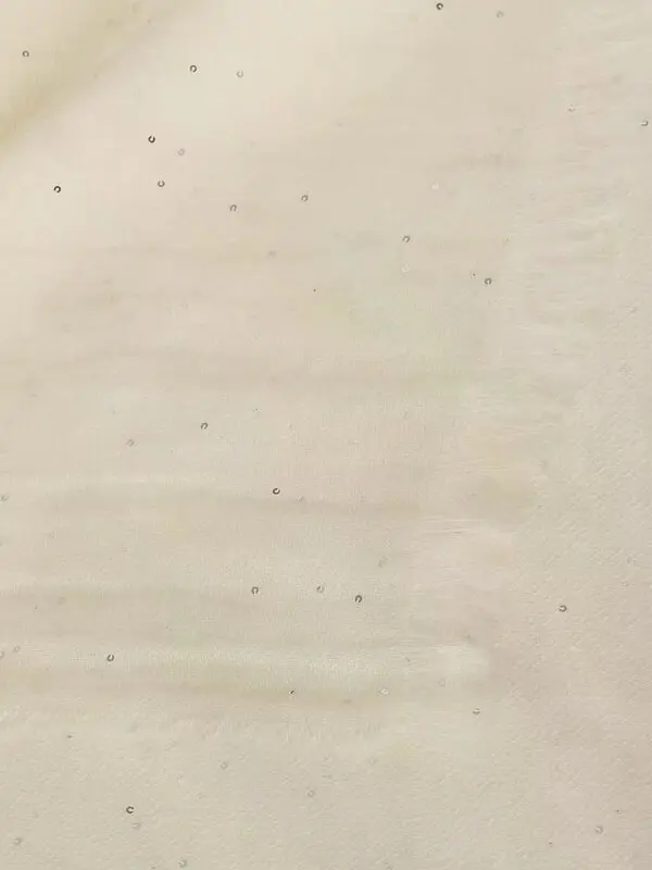 Peserico Sequin-embellished Frayed Scarf
