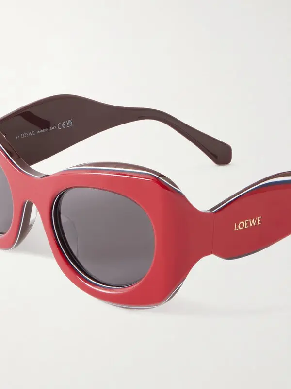 Loewe Paula's Ibiza D-frame Sunglasses