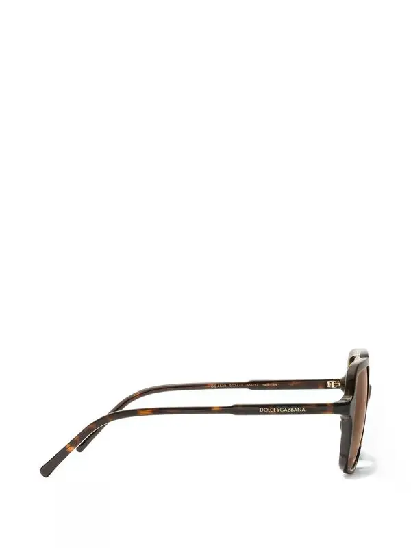 Dolce & Gabbana Dg Everyday Sunglasses - Brown