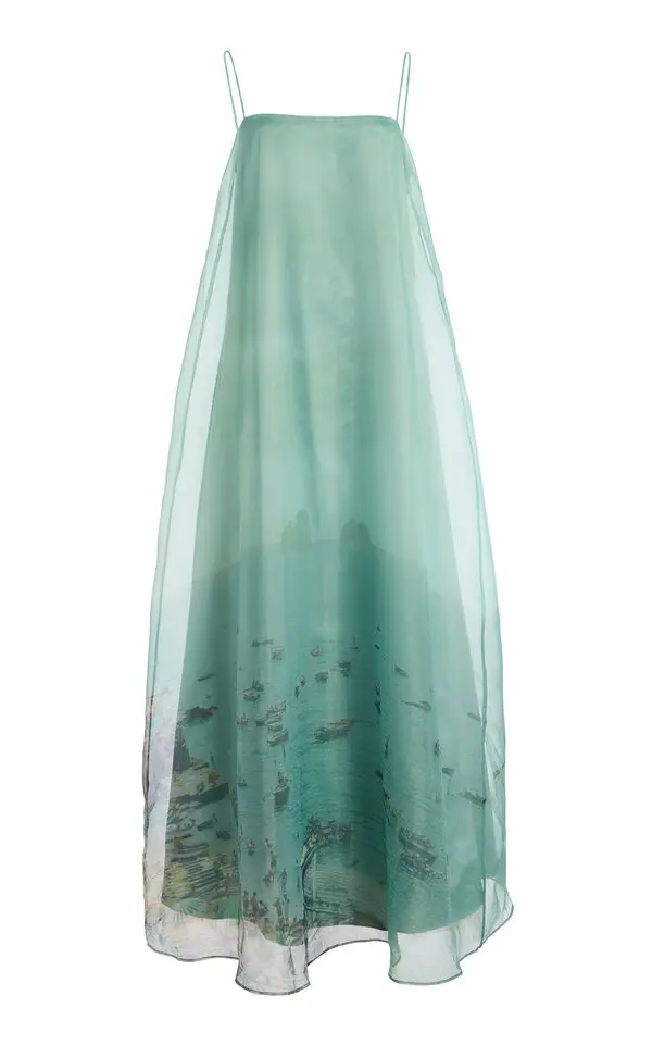 Staud Delfina Printed Organza Maxi Dress - Blue