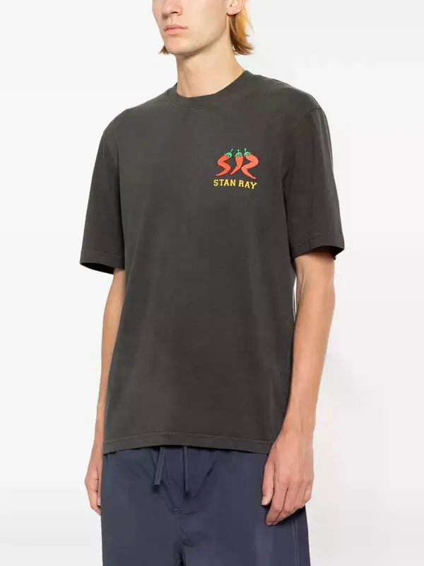STAN RAY Pepper T-shirt - Grey