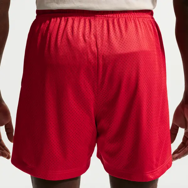 Nike Standard Issue 5" Practice Mesh Basketball Shorts