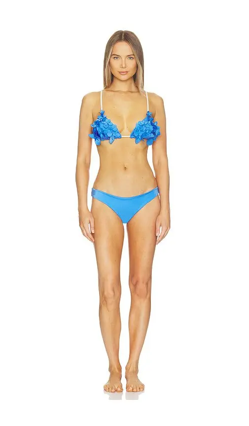 ANCORA Aria Bikini Top