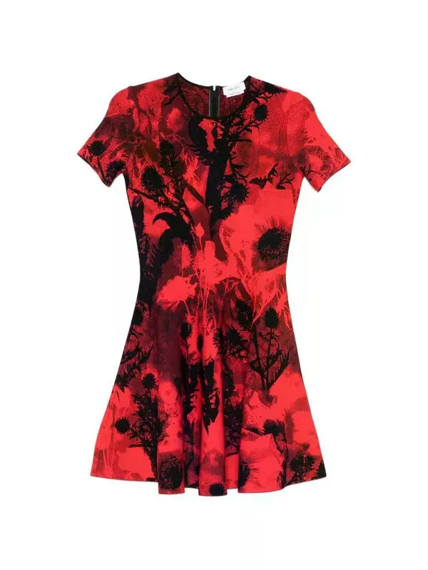 Alexander McQueen Crew-neck Mini Dress - Red