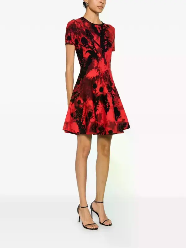 Alexander McQueen Crew-neck Mini Dress - Red