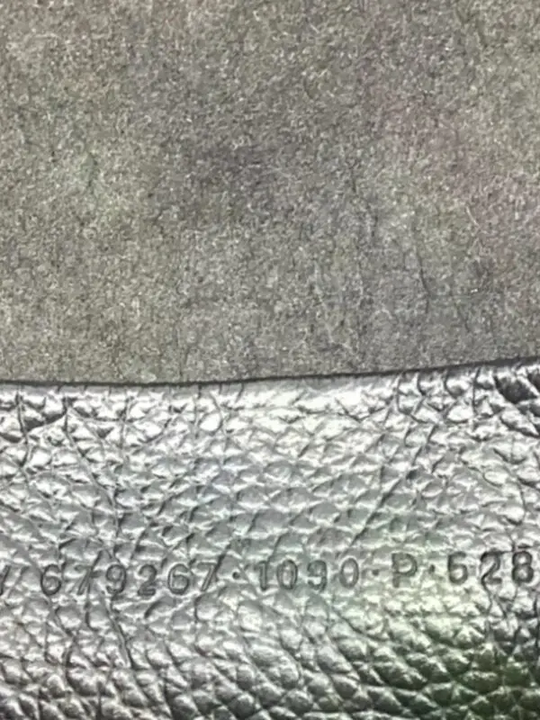 Balenciaga Everyday Camera Bag