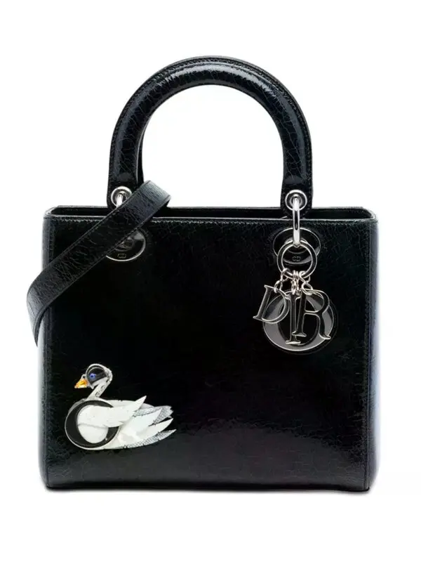 Dior 2016 Medium Ceramic Effect Deerskin Jeweled Swan Lady Satchel - Black