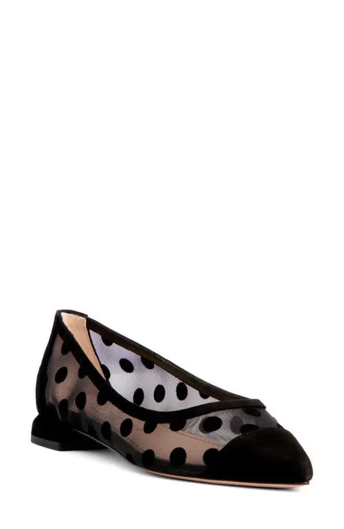 BEAUTIISOLES BY ROBYN SHREIBER Blake Pointed Cap Toe Flat In Polka Dot Mesh - Black