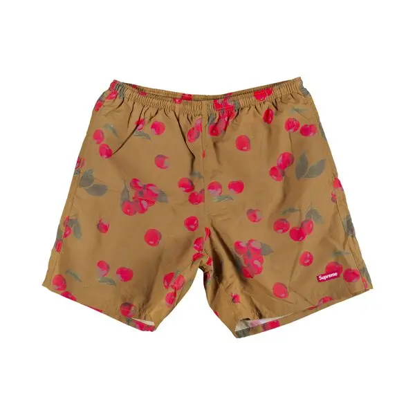 Supreme Nylon Water Shorts - Brown