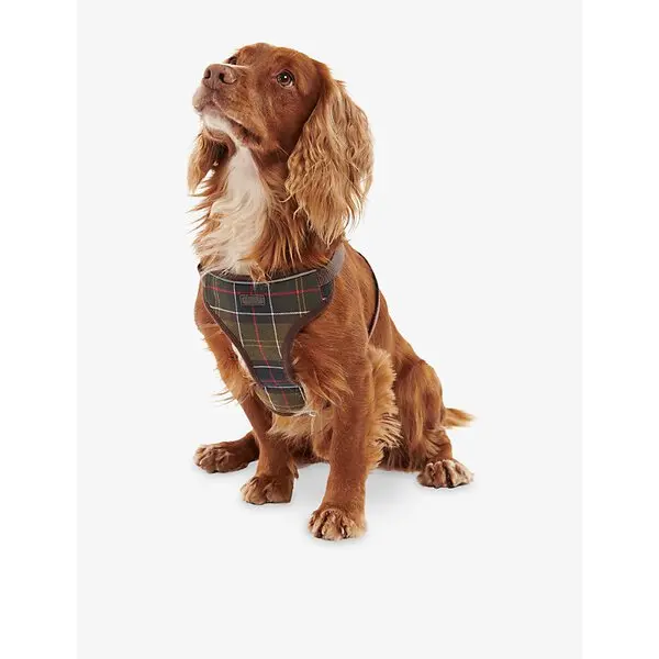 Barbour Cotton Dog Harness