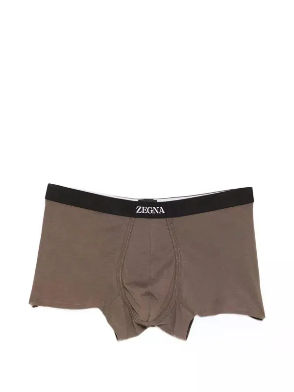 Zegna Logo-waistband Trunks - Brown