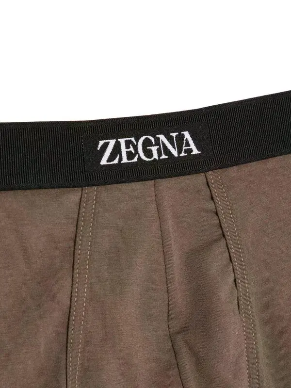 Zegna Logo-waistband Trunks - Brown
