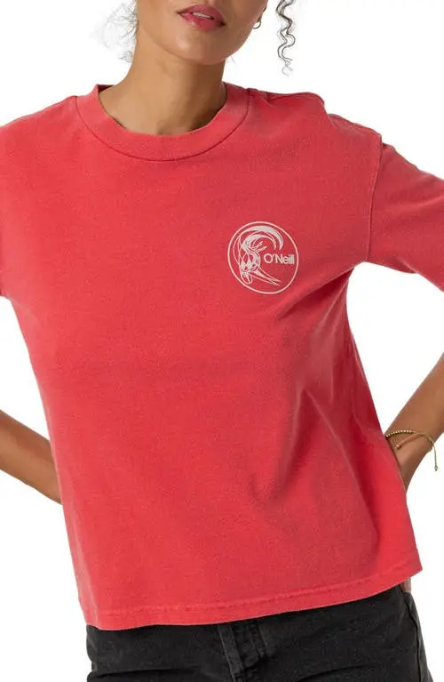 O'Neill Salty Circle Graphic T-shirt