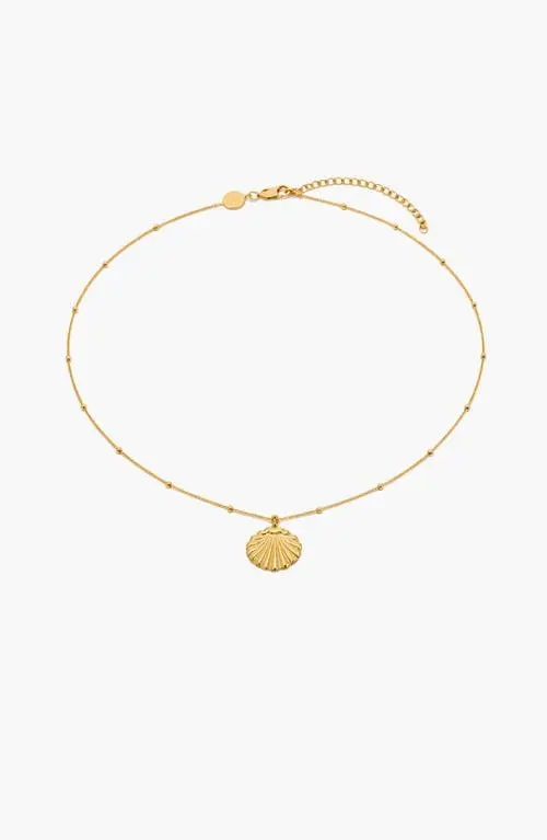 YOJ Conchiglia Beaded Shell Choker Necklace - Gold