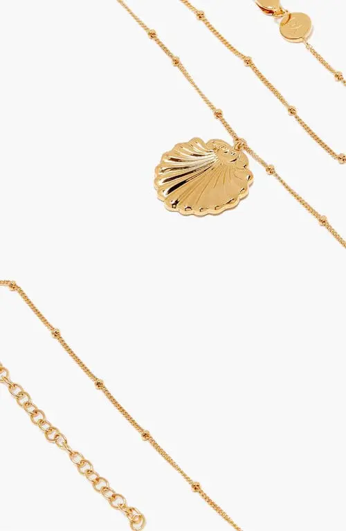 YOJ Conchiglia Beaded Shell Choker Necklace