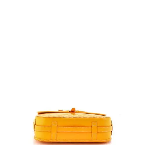 Goyard Belvedere Ii Mm Messenger Bag - Yellow