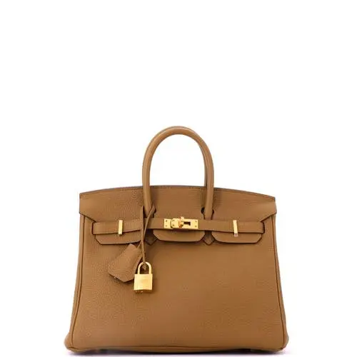 Hermès Birkin 25 Handbag Togo With Gold Hardware - Bronze Dore