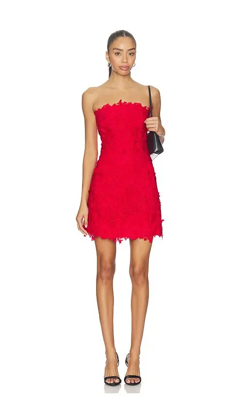 Generation Love Lydia 3d Lace Dress In Red - Cherry