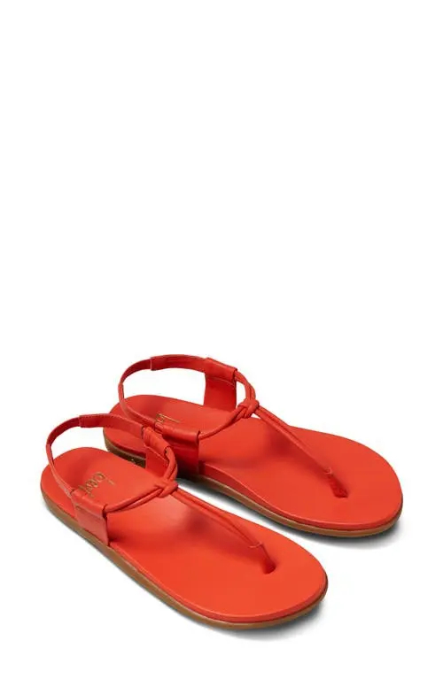 Beek Mango Ankle Strap Sandal