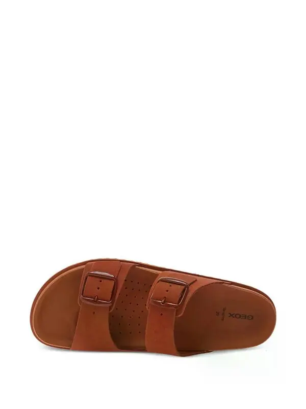 Geox Buckle-strap Slide Sandals