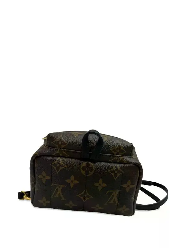 LOUIS VUITTON Palm Springs Mini Backpack Monogram Canvas - Brown