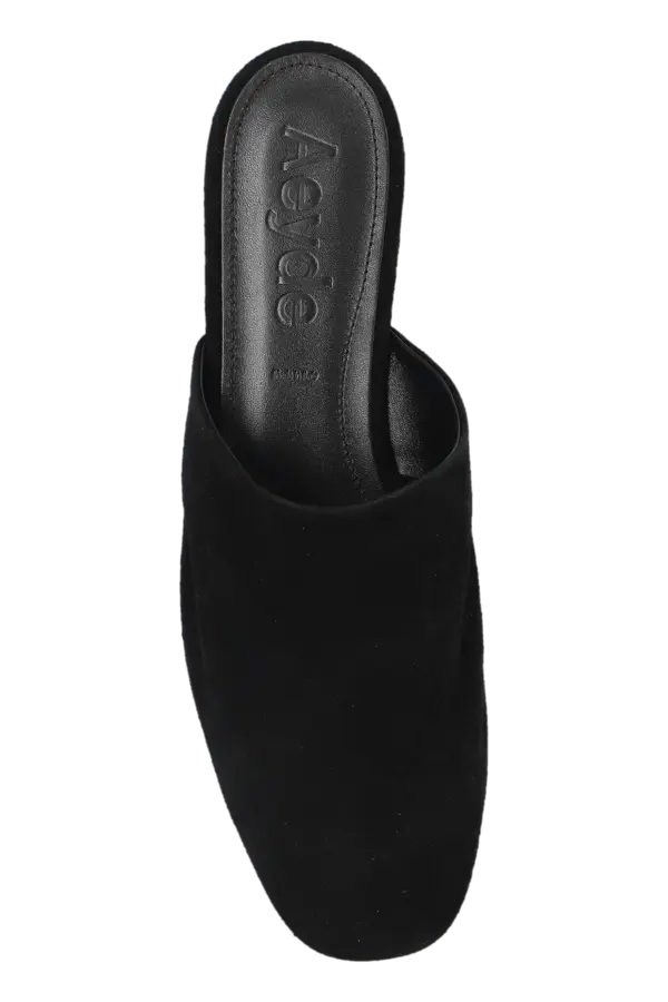 AeydĒ Rega’ Slides