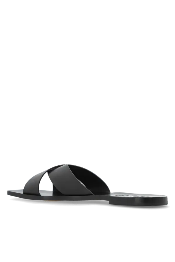 AeydĒ Faye' Slides