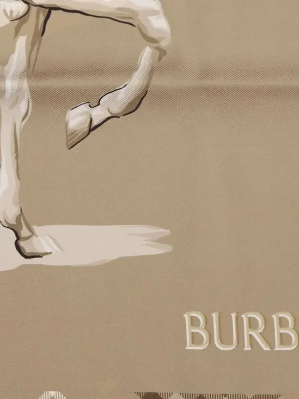 Burberry Neck Scarf